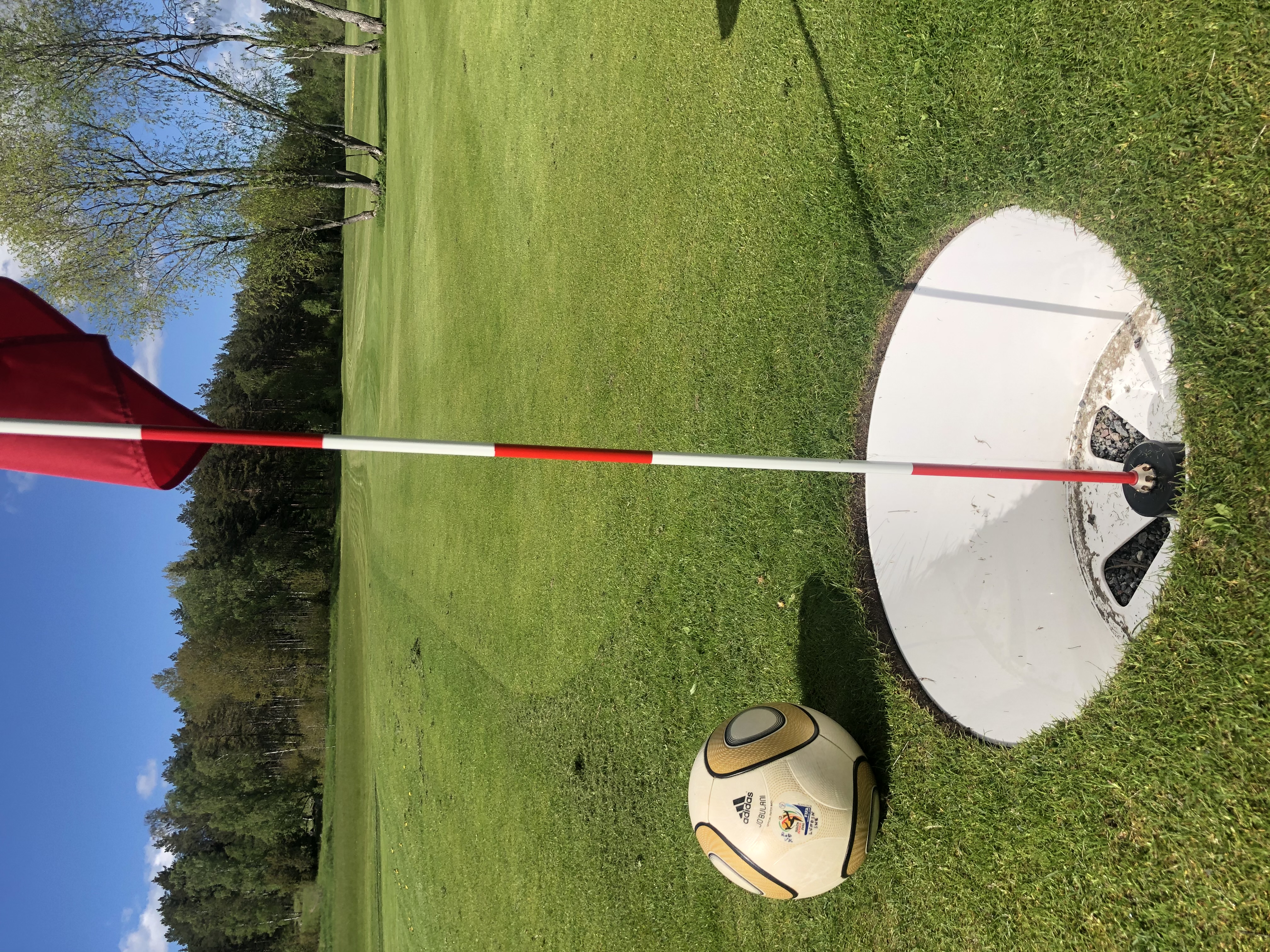 Footgolf Sweden - Svensk Fotgolf - Om Footgolf